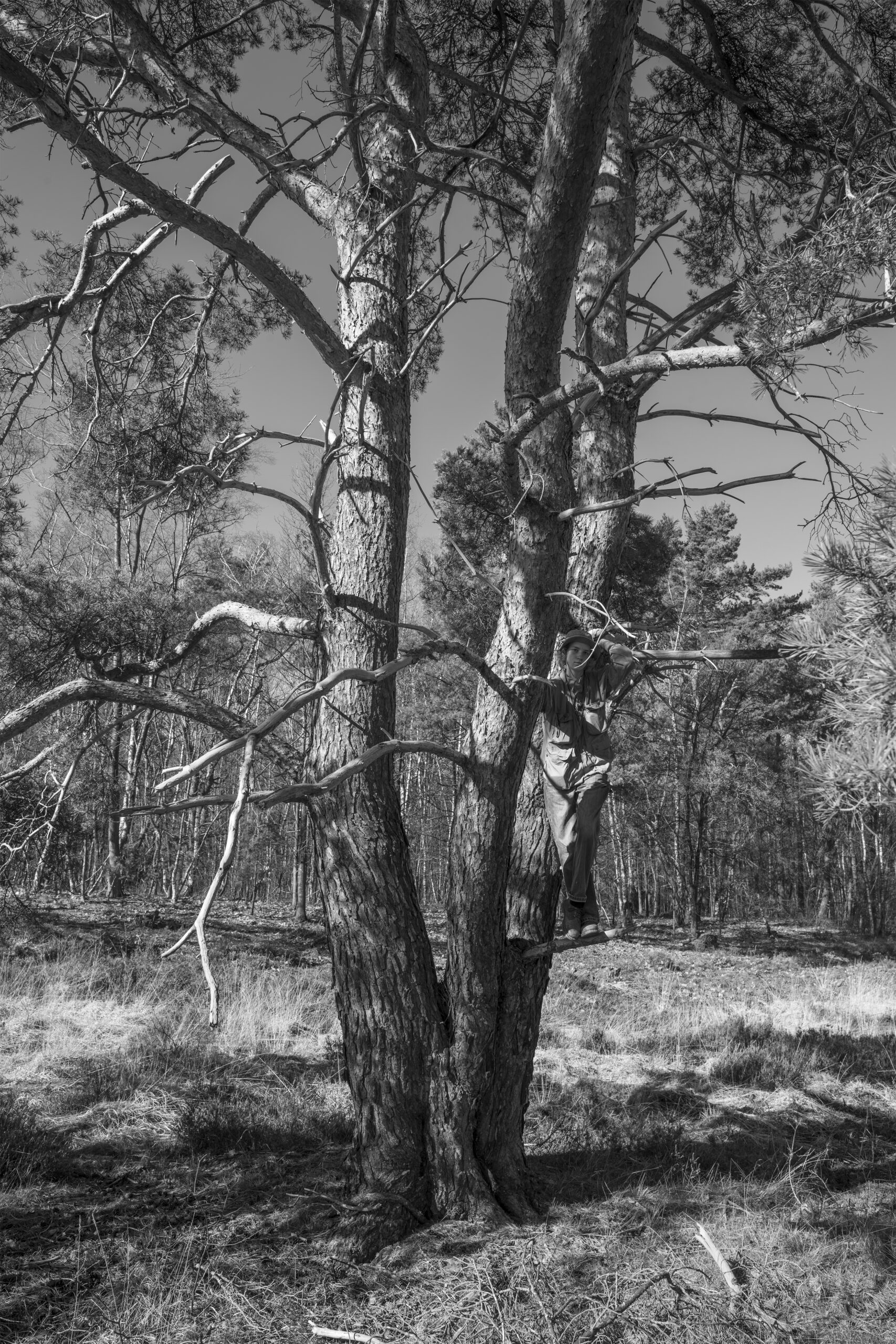 Be one with nature - Loving to learn you more